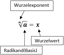 Wurzeln